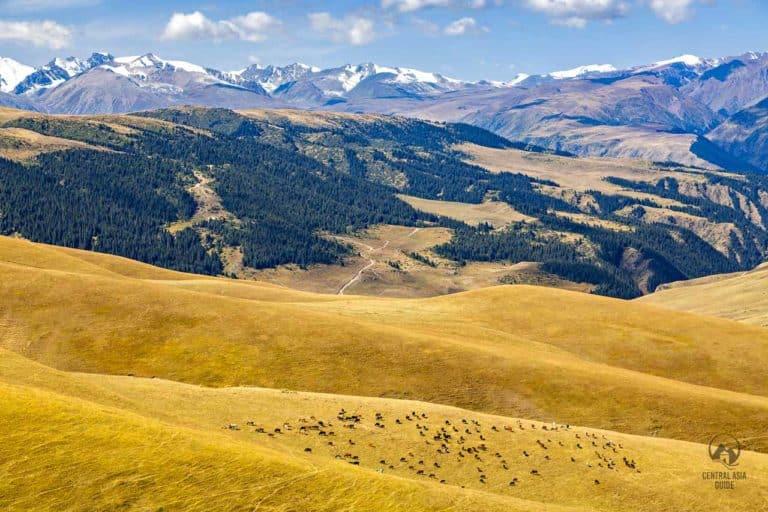 Kazakh culture draws from steppe and nomadism - Central Asia Guide