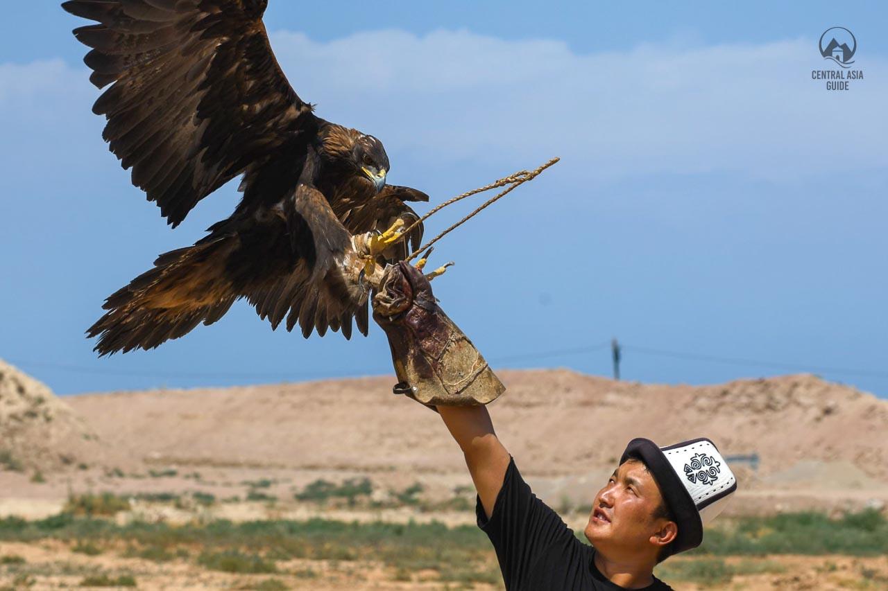 Eagle hunting - Central Asia Guide