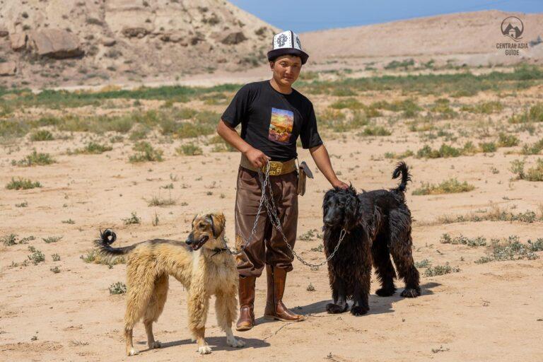 Kyrgyz dogs - Central Asia Guide